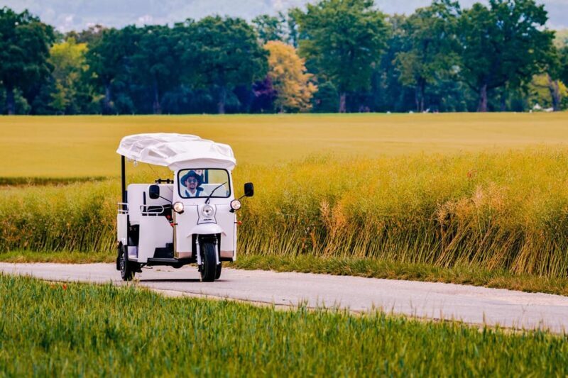 Private Highlights Top Places Tour Electric TukTuk 1h15 - Final Thoughts