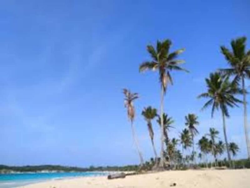 Private Higuey City Tour - Key Points