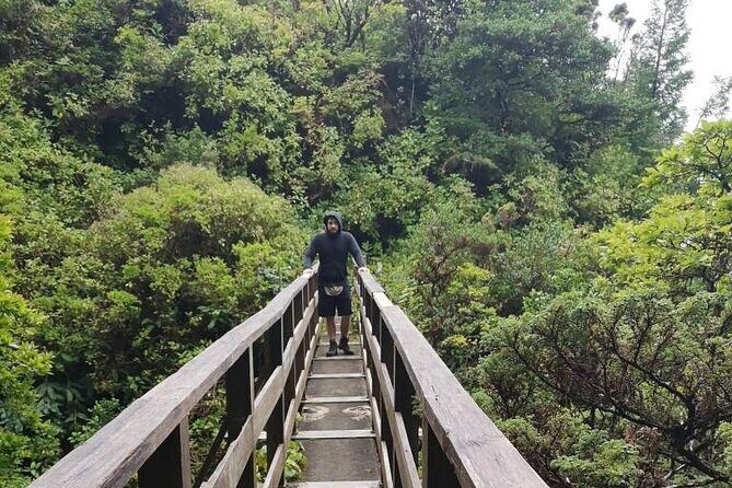 Private hike along the Levada - An Honest Look at the Private Levada Hike on Faial Island