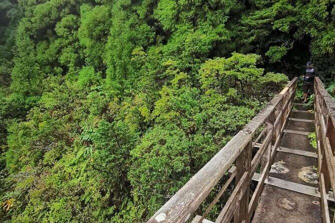 Private hike along the Levada - Key Points