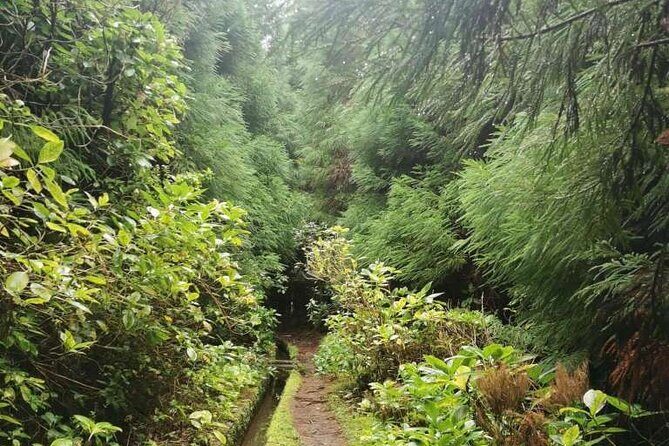 Private hike along the Levada - The Sum Up
