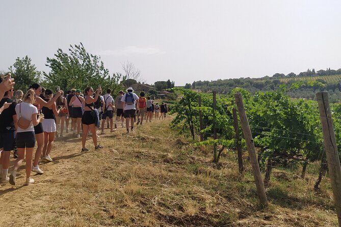 Private Hike and Wine Experiences in Chianti - The Starting Point at Piazza Matteotti