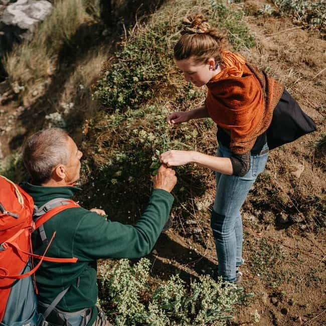Private Hike: Brecon Beacons Henrhydd Falls Plus Foraging - What Makes This Tour Special?