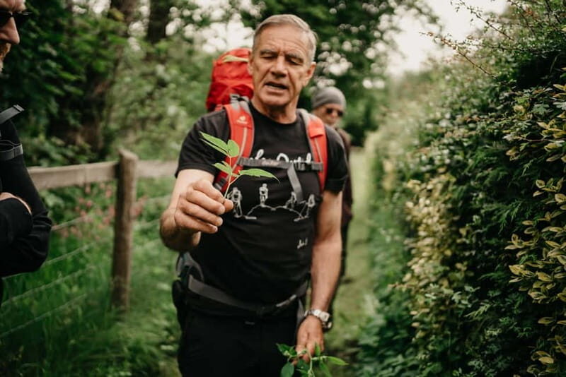 Private Hike: Brecon Beacons Henrhydd Falls Plus Foraging - The Ideal Participant