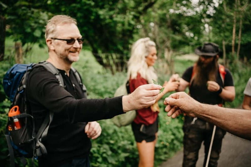 Private Hike: Brecon Beacons Henrhydd Falls Plus Foraging - The Sum Up