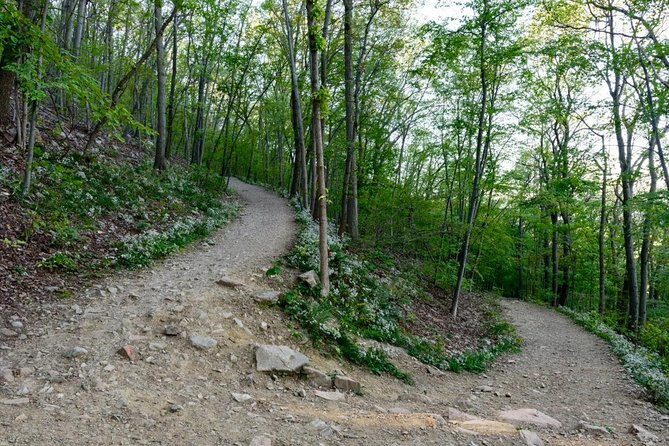 Private Hike/Wineries/Walkway Over the Hudson/1 night Hotel - What Travelers Say About This Tour