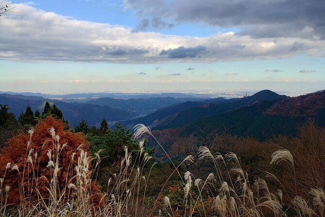 Private Hiking Activity near Tokyo - An Overview of What to Expect