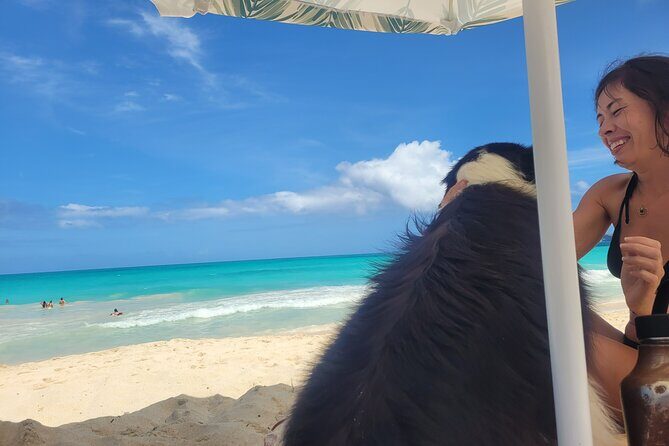 Private Hiking and Beaches Tour in Kailua Town - A Deep Dive into Your Oahu East Side Adventure