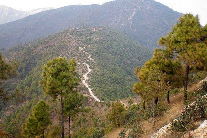 Private Hiking Day hike to Champadevi - An In-Depth Look at the Champadevi Private Hike