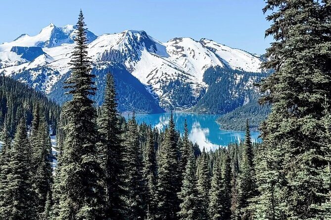 Private Hiking Day Tour of Garibaldi Lake (Panorama Ridge) - Key Points
