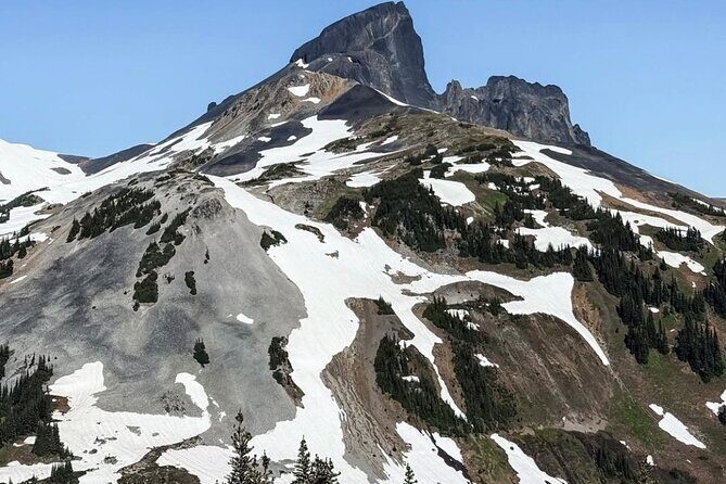 Private Hiking Day Tour of Garibaldi Lake Panorama Ridge - Why This Tour Offers True Value