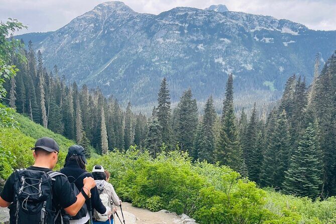 Private Hiking Day tour of Joffre Lakes Park - What Makes This Tour a Great Choice?