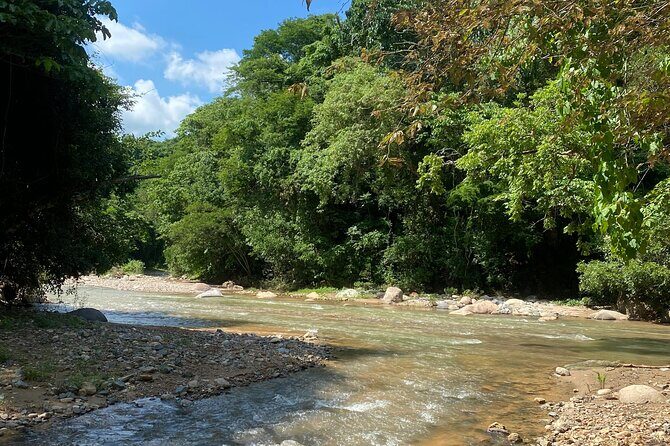 Private Hiking Experience Waterfall and Hidden Jungle Paradise - What to Expect From the Tour