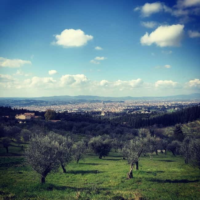 Private Hiking Florence Tour with Wine and Lunch or semi-pri - Authentic, Well-Organized, and Truly Enjoyable