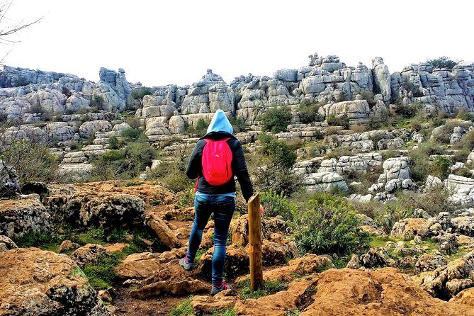 Private hiking in El Torcal from Marbella or Malaga - Why Choose This Tour?