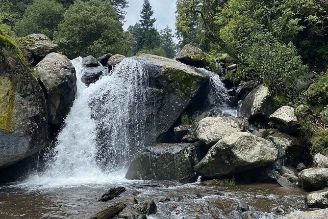 Private Hiking to Chipinique from Monterrey - Introduction