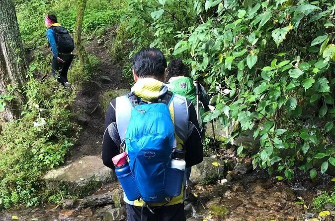 Private Hiking to Chipinique from Monterrey - Authentic Experiences and Traveler Feedback