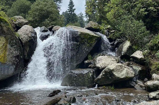 Private Hiking to Chipinique from Monterrey - Who Should Consider This Tour?