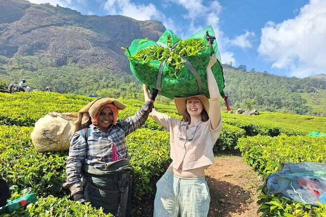 Private Hiking Tour from Cochin with Overnight Stay at Munnar - Key Points