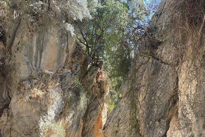 Private Hiking Tour in Imbros Gorge (Chania) - Analyzing the Value