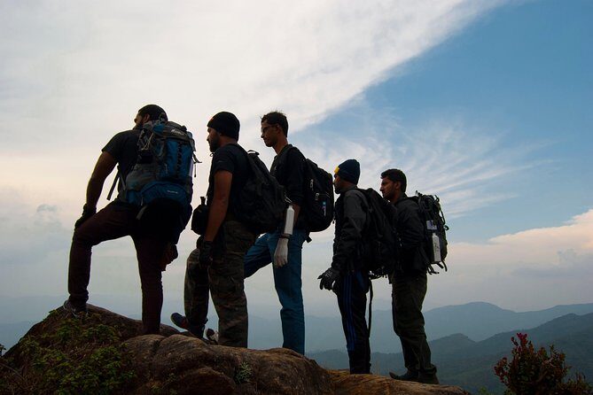 Private Hiking tour to Kirigalpoththa Mountain via Horton Plains - Introducing the Private Hiking Tour to Kirigalpoththa Mountain via Horton Plains