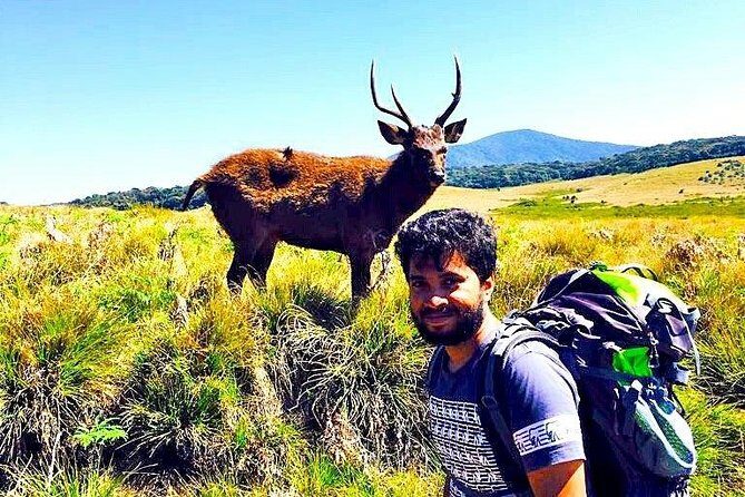 Private Hiking tour to Kirigalpoththa Mountain via Horton Plains - Key Points