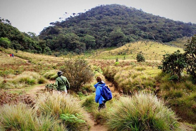 Private Hiking tour to Kirigalpoththa Mountain via Horton Plains - The Sum Up: Who Will Love This Tour?