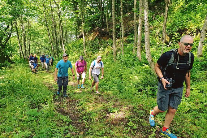 Private Hiking Tour to Machakhela National Park from Batumi - How the Tour Unfolds: A Detailed Breakdown
