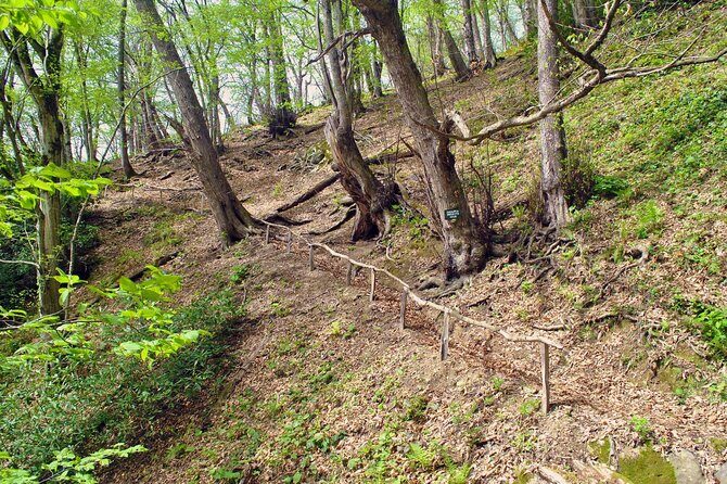 Private Hiking Tour to Machakhela National Park from Batumi - Pricing and Value