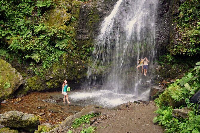 Private Hiking Tour to Mtirala National Park from Batumi - What to Expect from the Private Mtirala National Park Hike