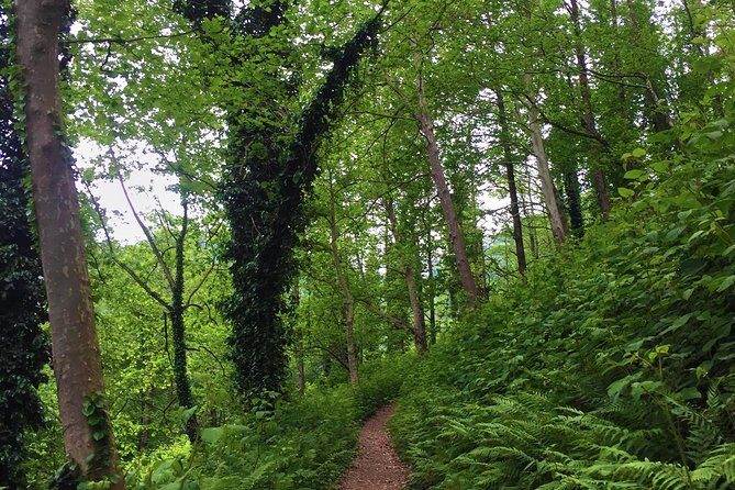 Private Hiking Tour to Mtirala National Park from Batumi - The Value of this Tour