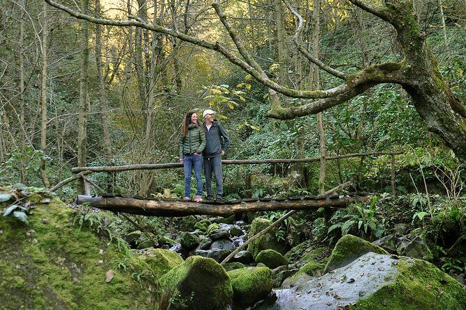 Private Hiking Tour to Mtirala National Park from Batumi - Logistics and Practicalities