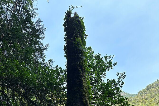 Private hiking tour to Olympus mountain - The Experience in a Nutshell