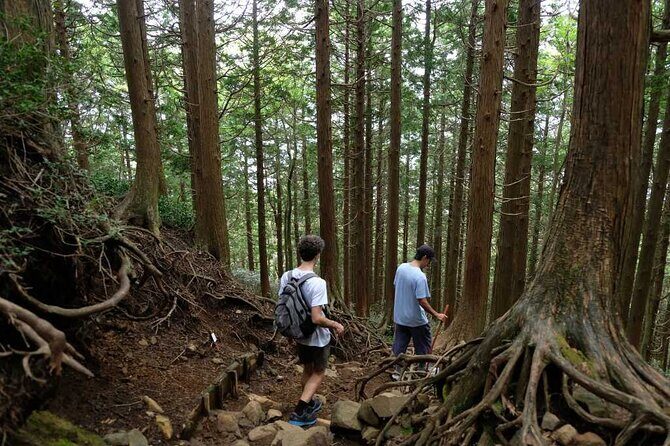 Private Hiking Tour with a certified national guide in Hakone - Authentic and Informative Guidance