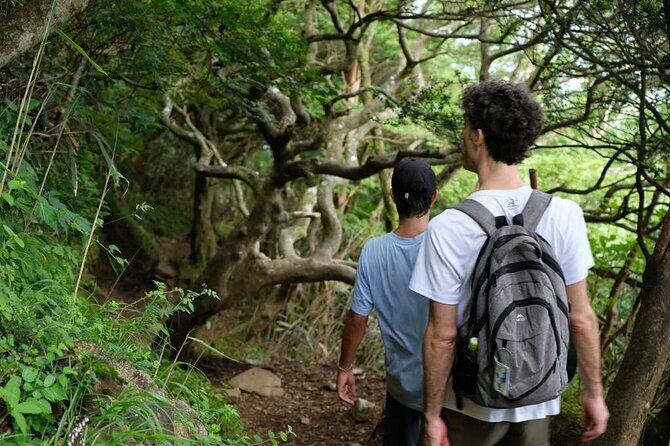 Private Hiking Tour with a certified national guide in Hakone - Who Will Love This Tour?