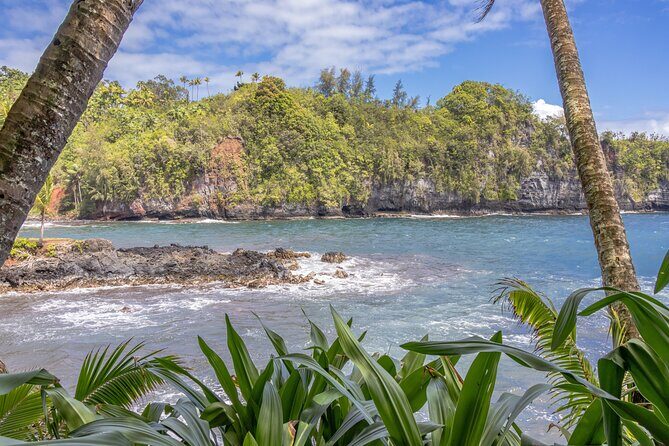 Private Hilo Shore Excursion - Botanical Gardens & Waterfalls - Authentic Experiences and Real Travelers’ Insights