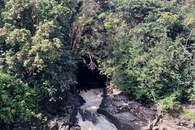 Private Hilo Shore Excursion Volcano National Park up to 14 - Macadamia Nuts and Sweet Treats