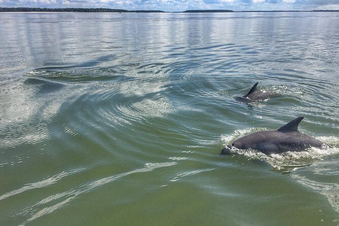 Private Hilton Head Dolphin Tour with Waterfront Dining Stop - Final Thoughts