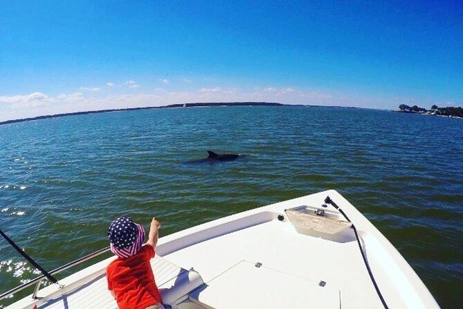 Private Hilton Head Sunset Dolphin Tour - Who Will Love This Tour?