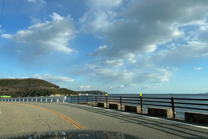 Private Himeji Castle & Seto Inland Sea Gourmet Drive - Who Should Consider This Tour?