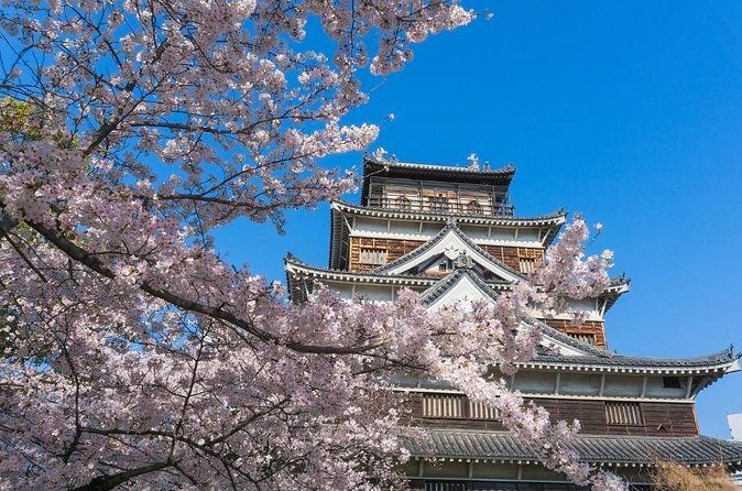 Private Hiroshima Cherry Blossom and Sakura Experience - Who Is This Tour Best For?