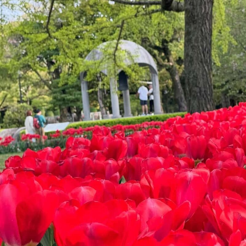 Private Hiroshima Tour in Spanish: History, excitement, and a local guide - Price and Value: What’s the Cost?