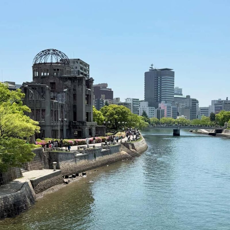 Private Hiroshima Tour in Spanish: History, excitement, and a local guide - The Bottom Line: Who Is This Tour For?