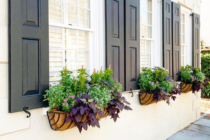 Private Historic Horse & Carriage Tour of Charleston - Authentic Experiences and Authenticity