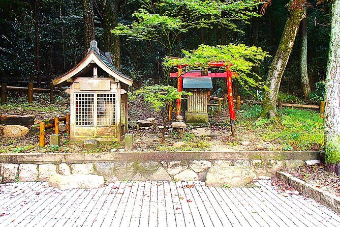 Private Historic Road Hike in the Healing Forest of Arima - Key Points