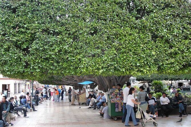 Private History & City Walking Tour of Guanajuato - In The Sum Up