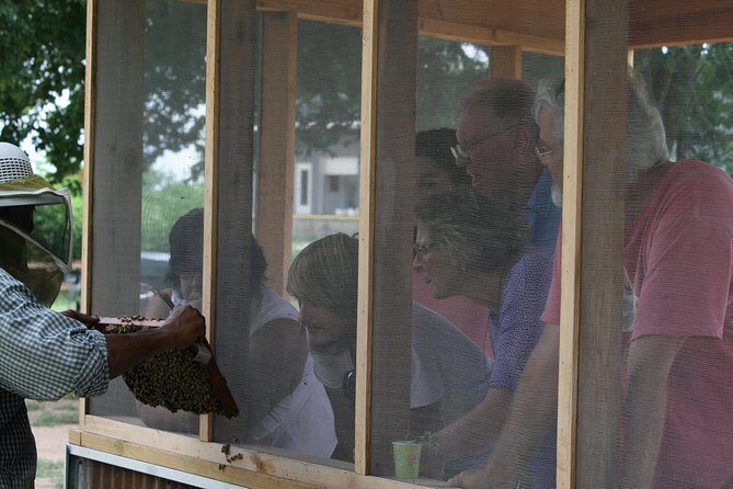 Private Hive Tour - The Itinerary in Detail: What Makes It Special