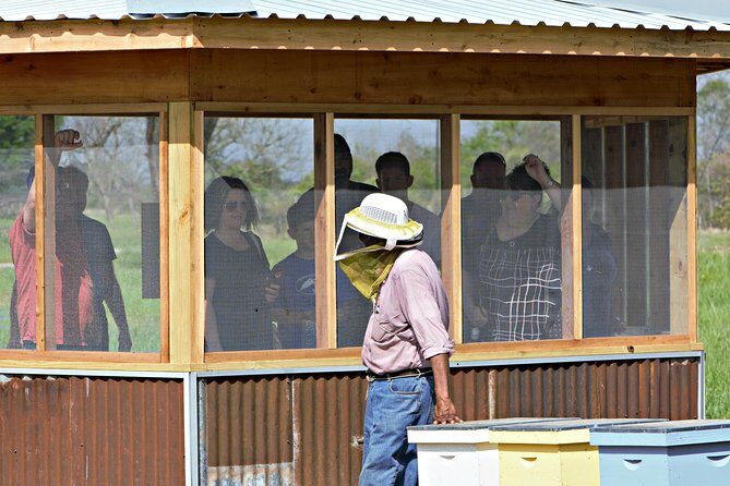 Private Hive Tour - Final Thoughts