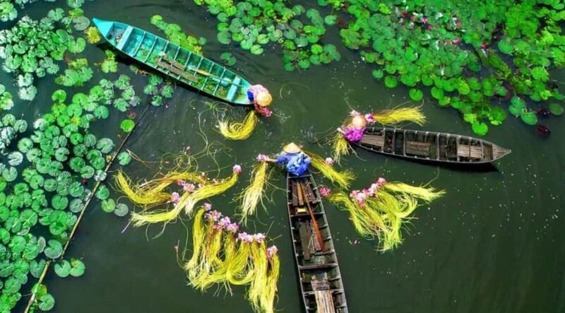 [Private] Ho Chi Minh City & Mekong Delta: 5-Day Guided Tour - Authentic Experiences and Genuine Value