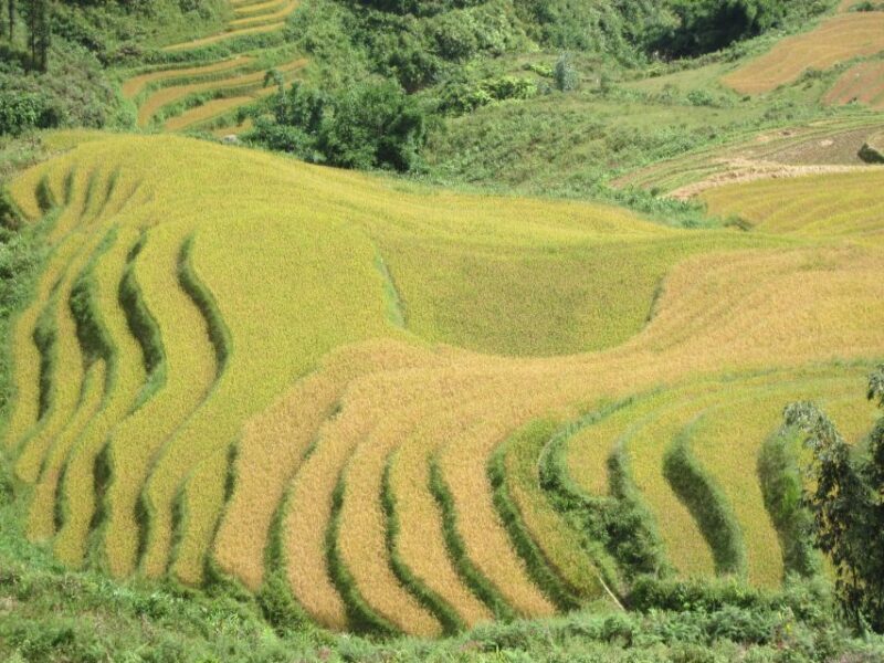 Private Hoang Lien National Park & Tribal Village Trek - The Sum Up
